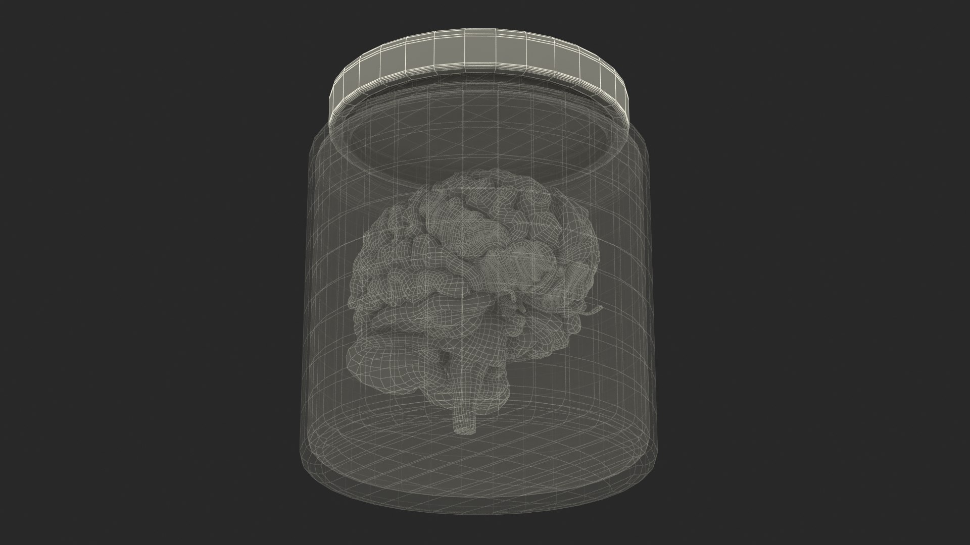 Human Brain In Glass Jar 3D Model - TurboSquid 2259007