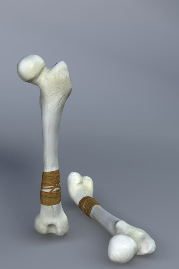 3d Model Bone Club