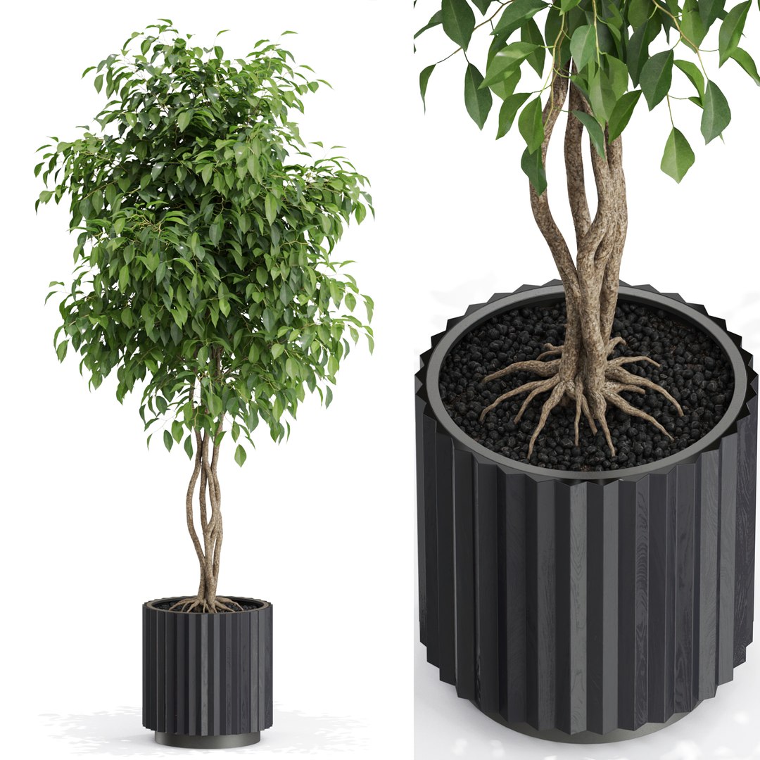 3D Plants Collection 581 Model - TurboSquid 1860399