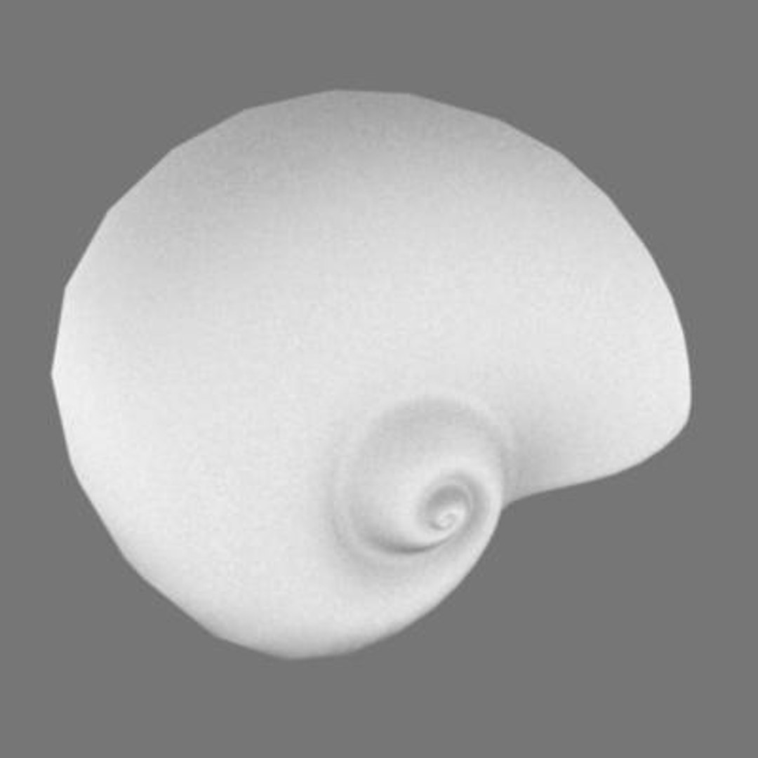 Maya Snail Shell