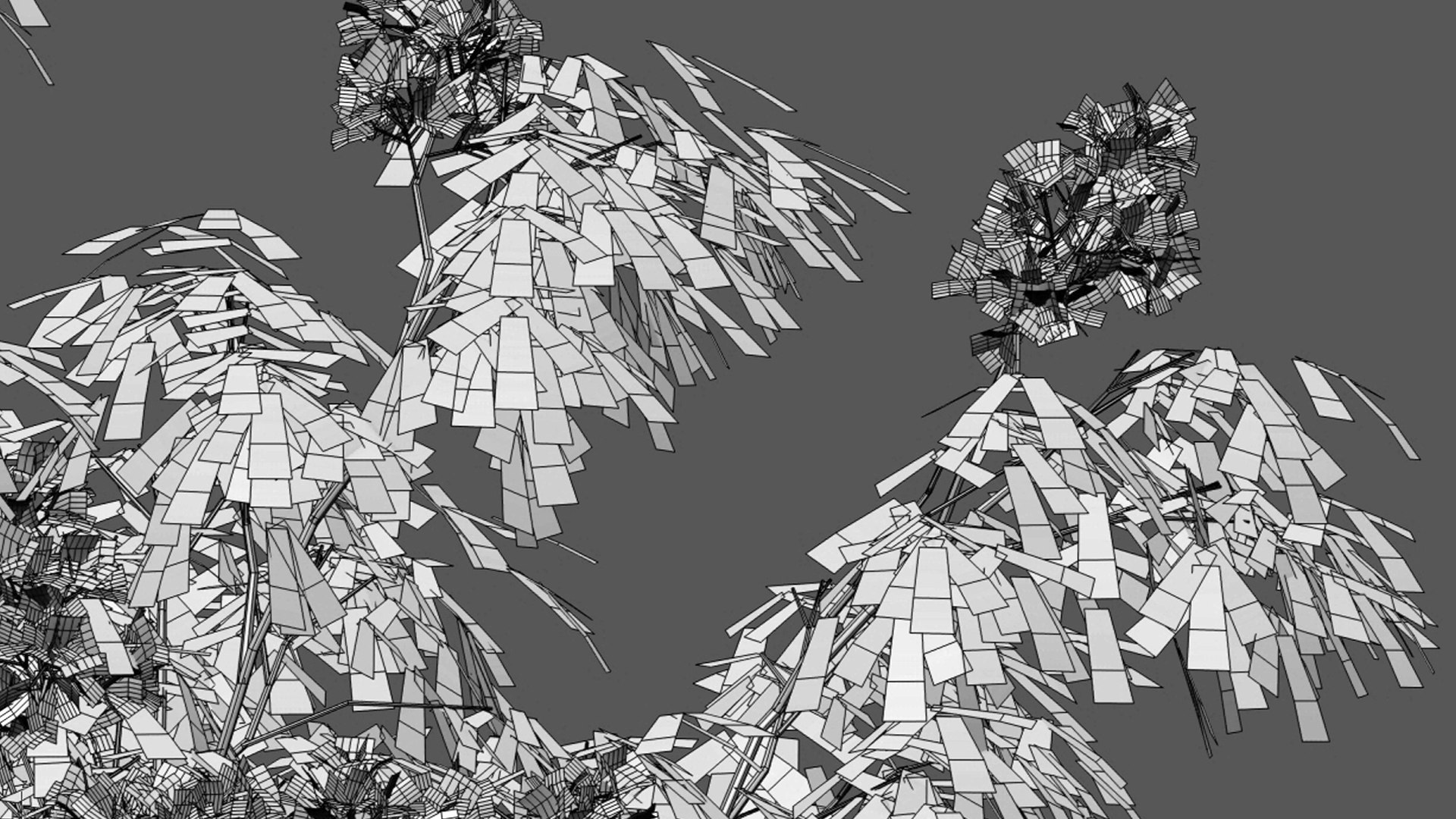 3D Dolonix regia - Royal Poinciana model - TurboSquid 1808260