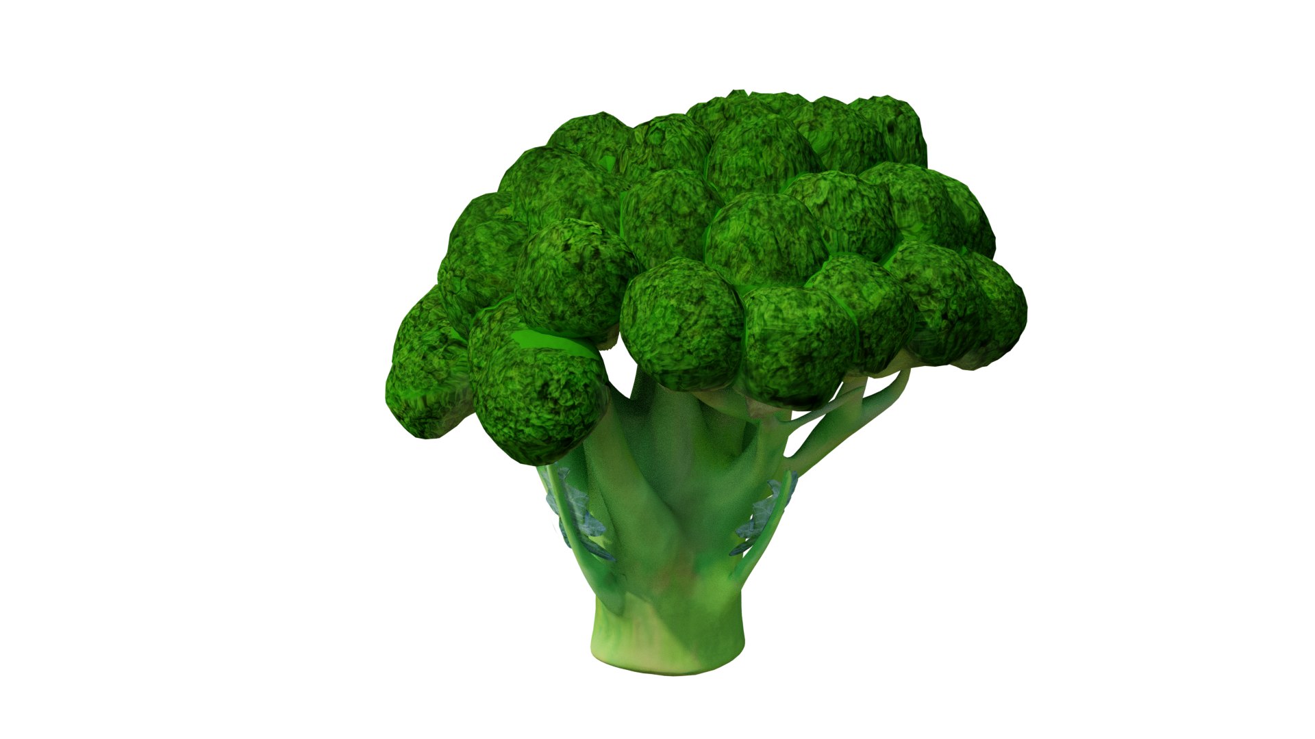 Broccoli 3D Model - TurboSquid 1926732
