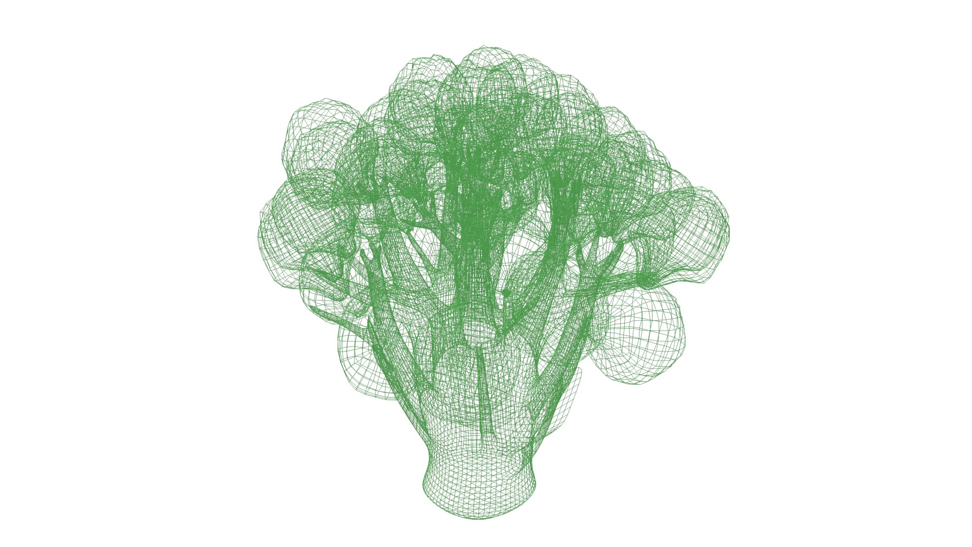 Broccoli 3D Model - TurboSquid 1926732