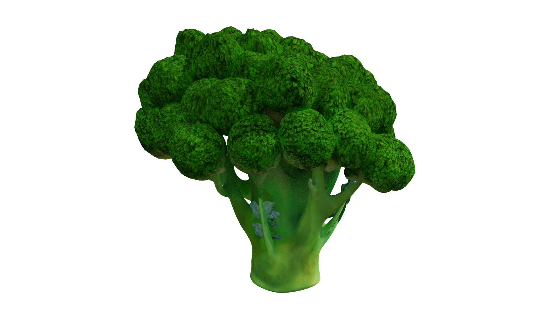 Broccoli 3D Model - TurboSquid 1926732
