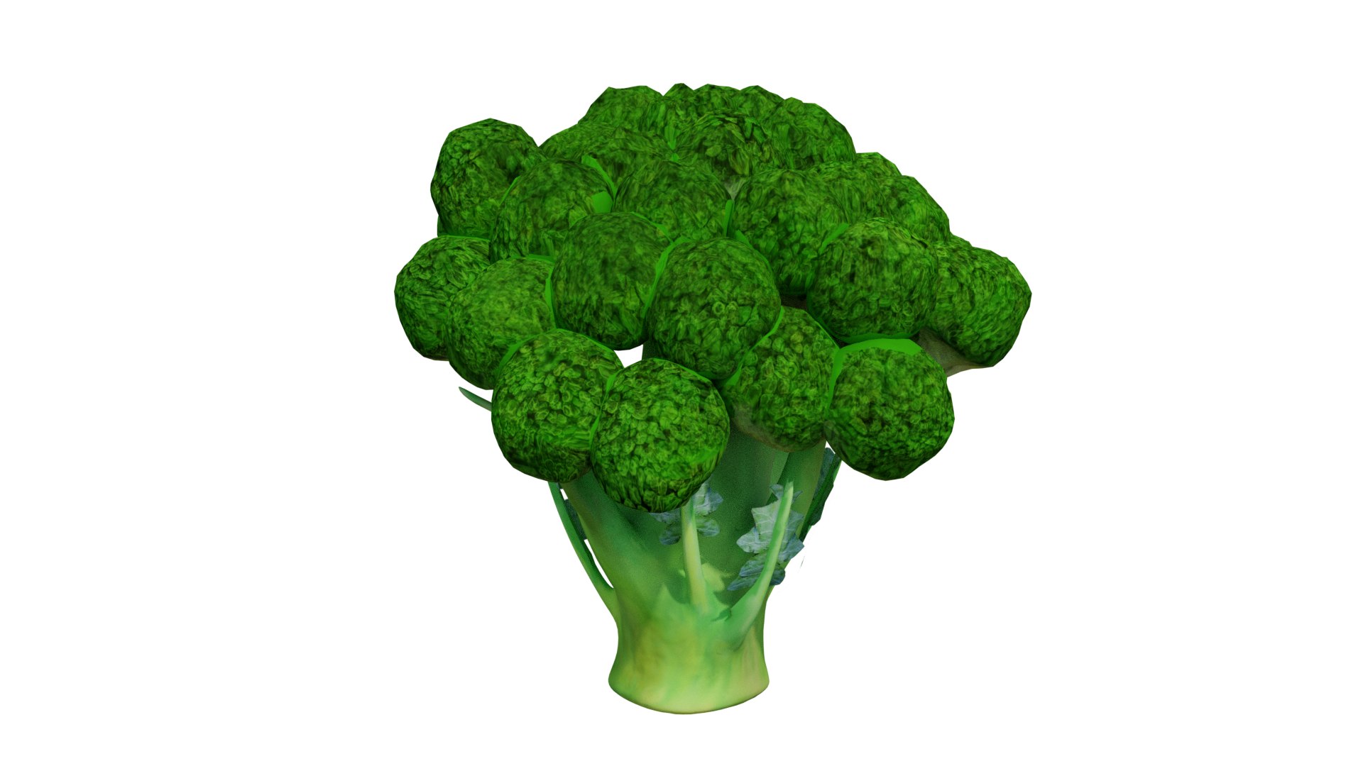 Broccoli 3D Model - TurboSquid 1926732