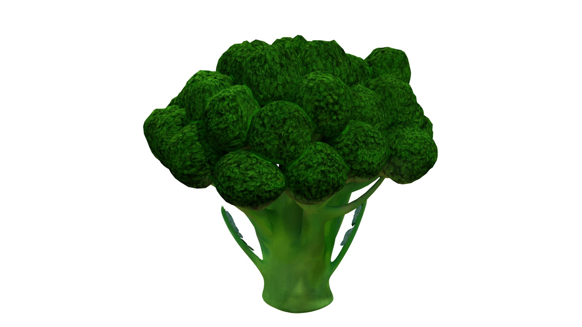 Broccoli 3D Model - TurboSquid 1926732