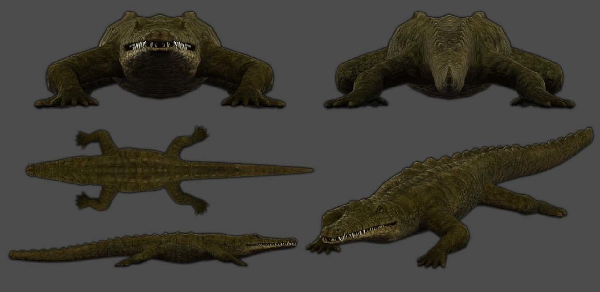 Crocodile Low-poly 3D Model - TurboSquid 1461593