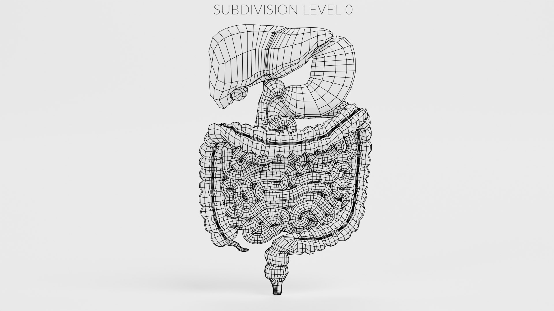 3D Digestive System model - TurboSquid 1755882
