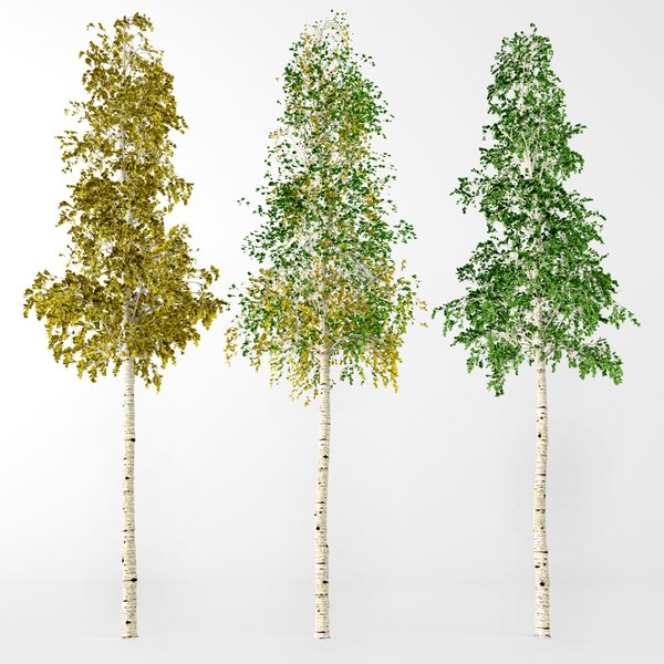 3d model aspen tree