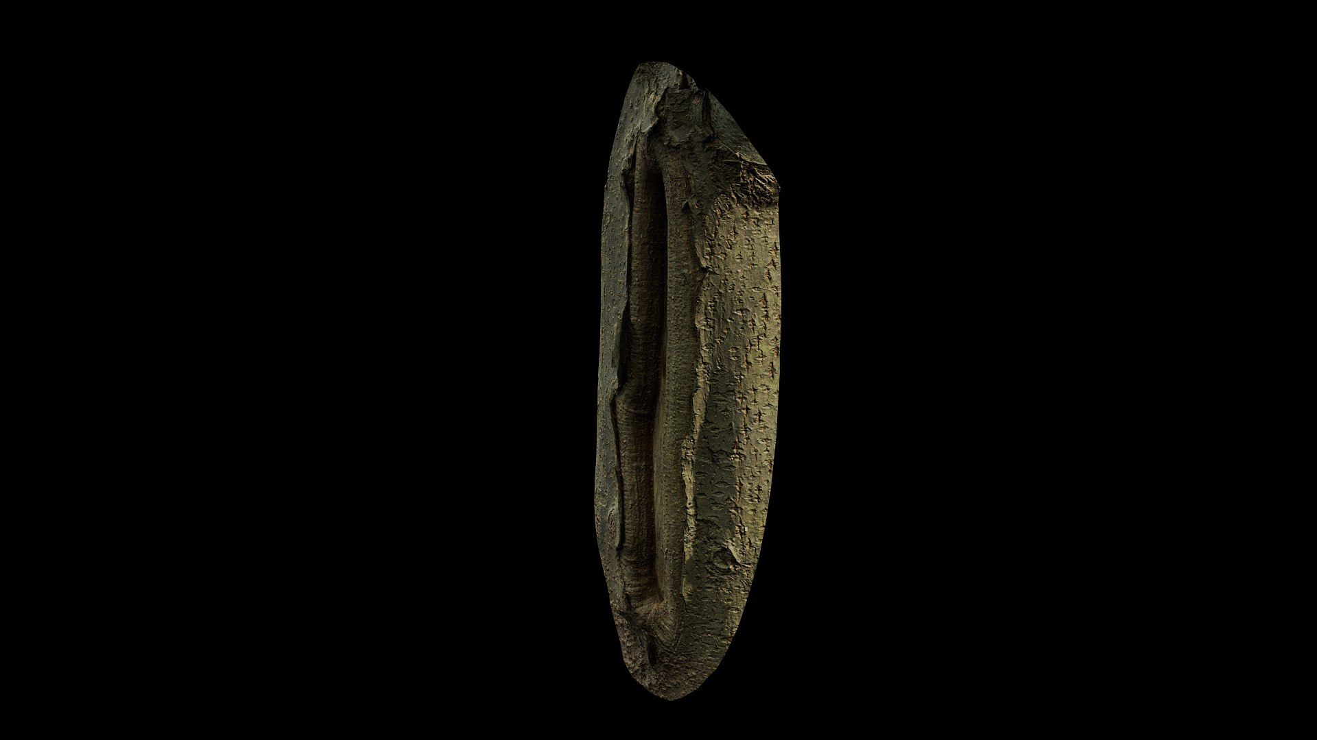 Anydrafts Koelreuteria Paniculata Burl 20 3D Model - TurboSquid 2322012