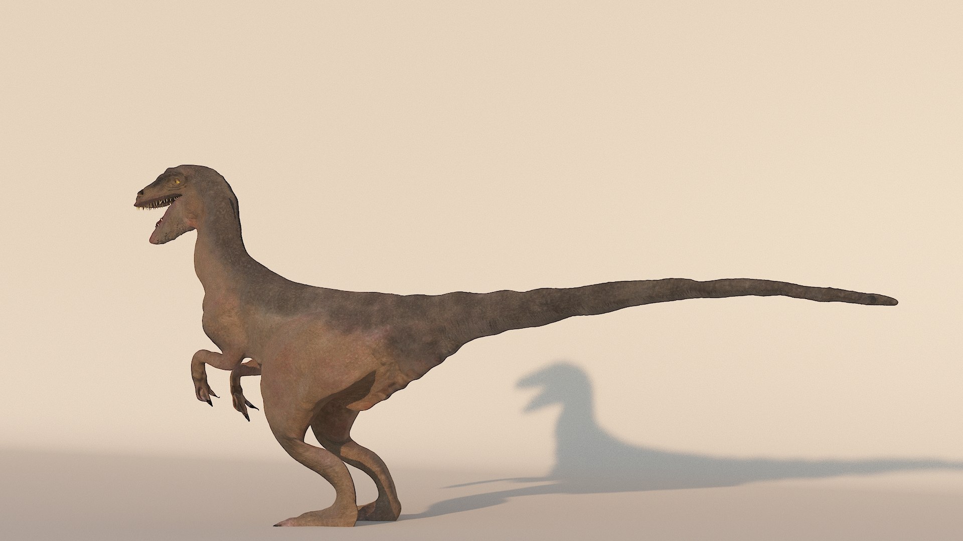 3D Velociraptor Model - TurboSquid 1235001