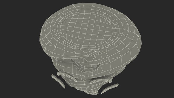 Disappointed Face Poop Emoji Smile model - TurboSquid 1801262