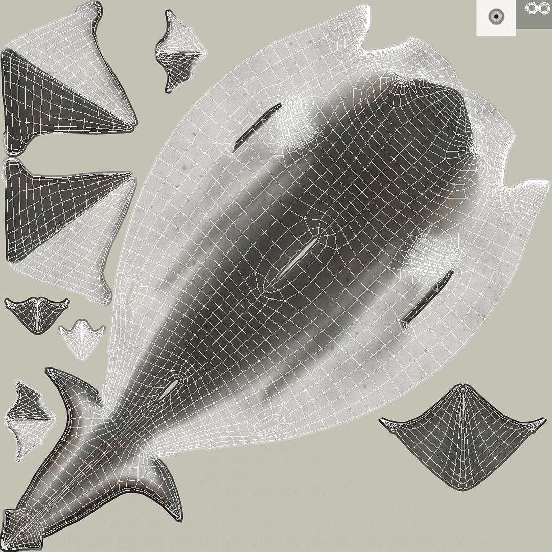 3D Model Realistic Bull Shark Rigged - TurboSquid 2265137