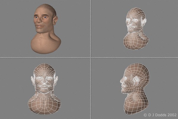 3d model human face head
