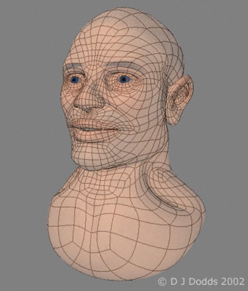 3d model human face head