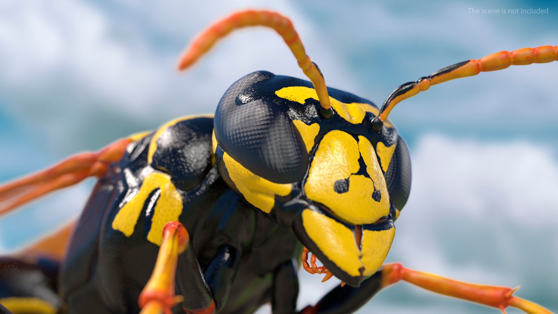 3D paper wasp standing pose - TurboSquid 1629204