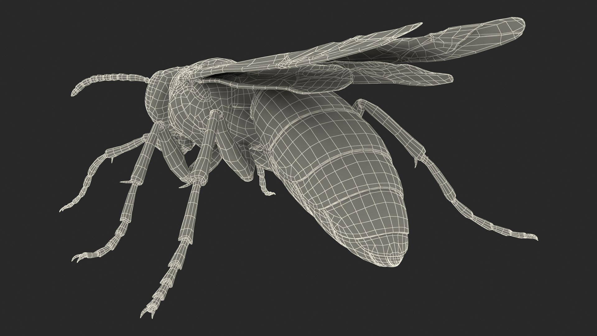 3D Paper Wasp Standing Pose - TurboSquid 1629204