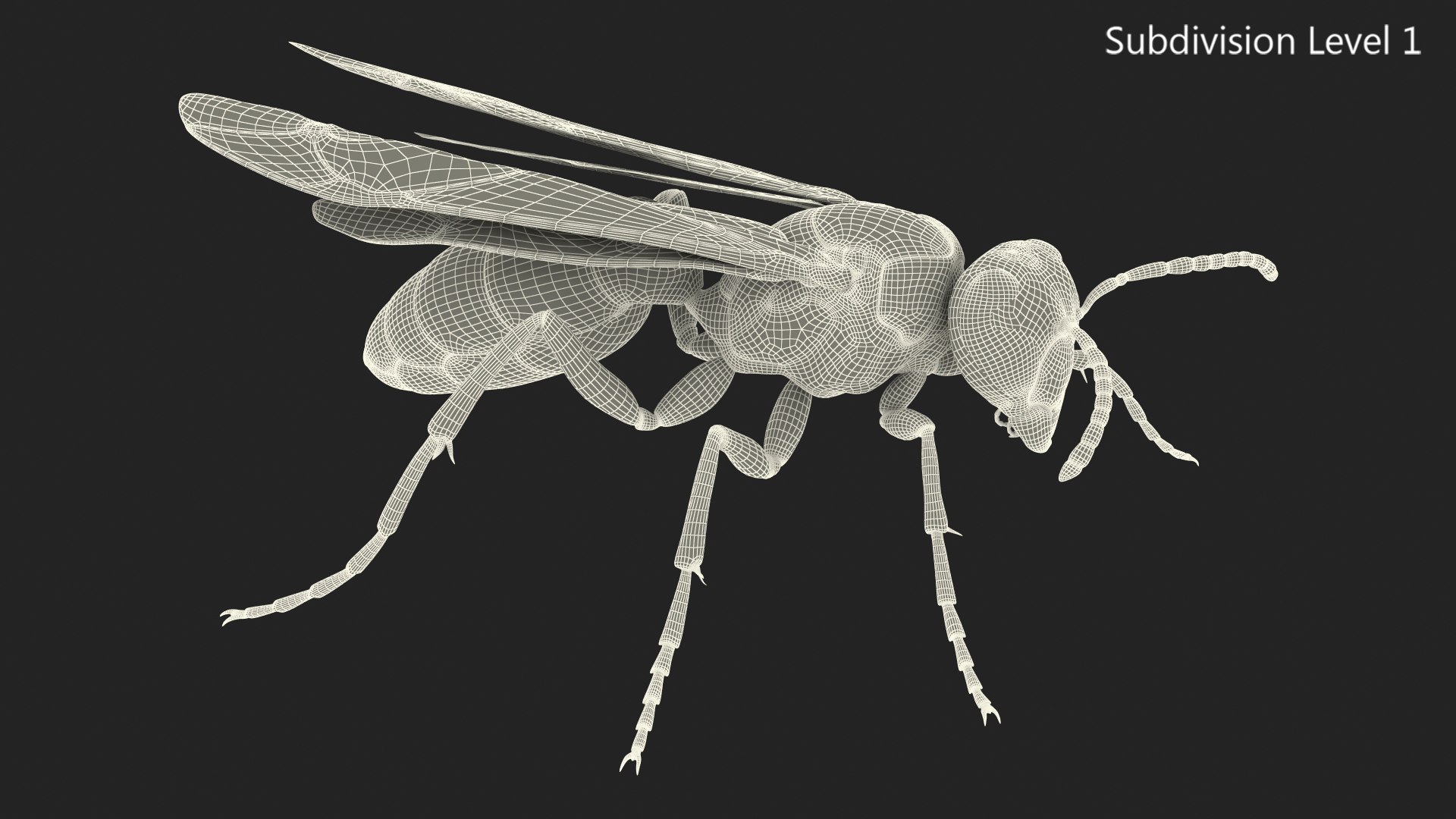 3D Paper Wasp Standing Pose - TurboSquid 1629204