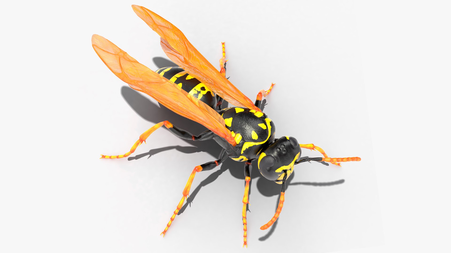 3D Paper Wasp Standing Pose - TurboSquid 1629204