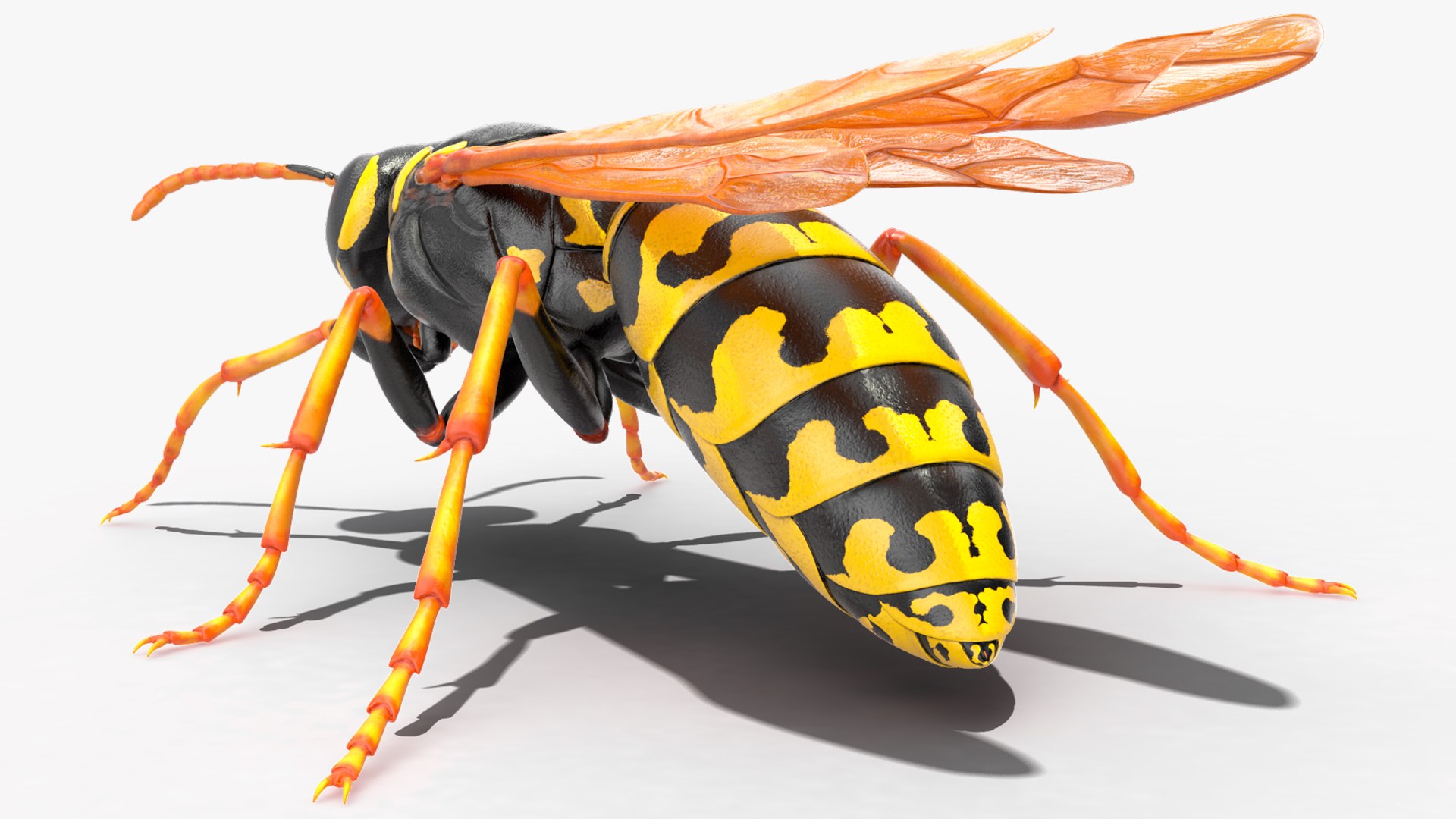 3D Paper Wasp Standing Pose - TurboSquid 1629204