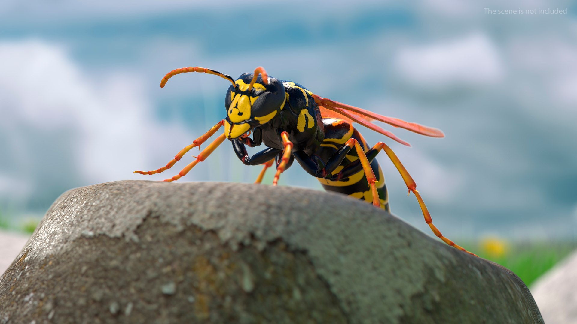 3D Paper Wasp Standing Pose - TurboSquid 1629204