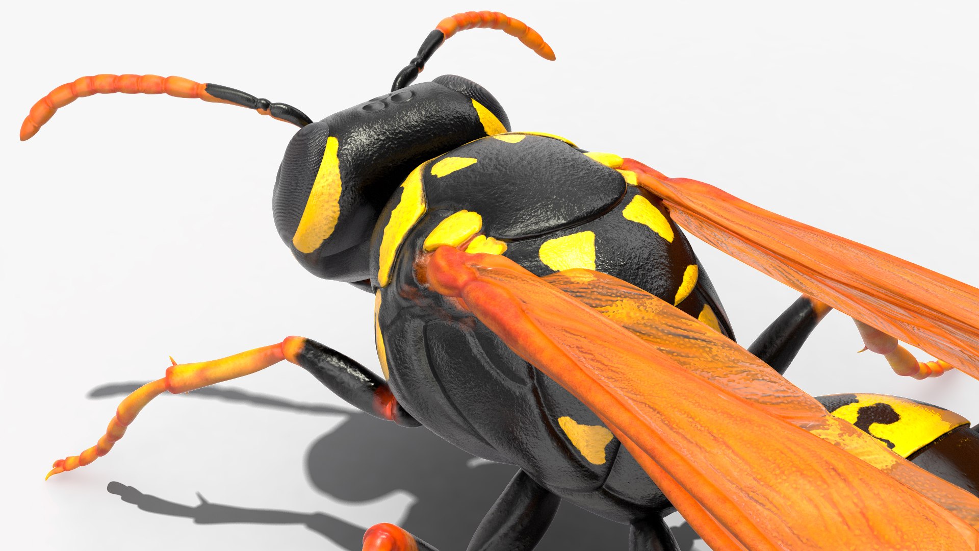 3D Paper Wasp Standing Pose - TurboSquid 1629204