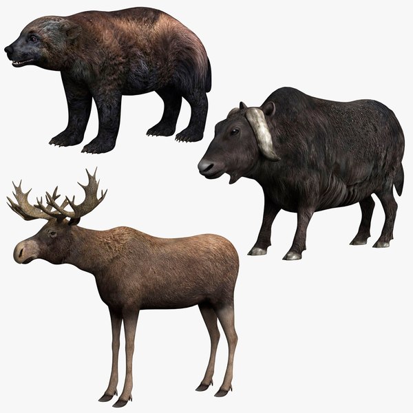 3D Moose Models | TurboSquid