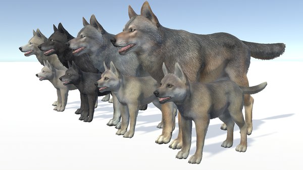 modelo 3d Familia de lobos - TurboSquid 2119730