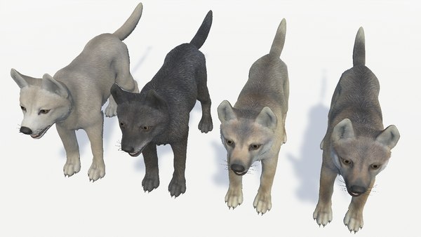 modelo 3d Familia de lobos - TurboSquid 2119730
