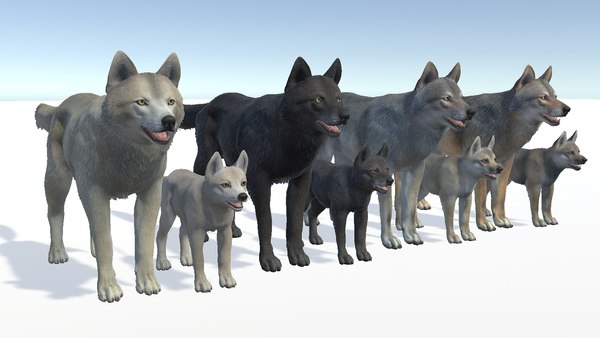 modelo 3d Familia de lobos - TurboSquid 2119730