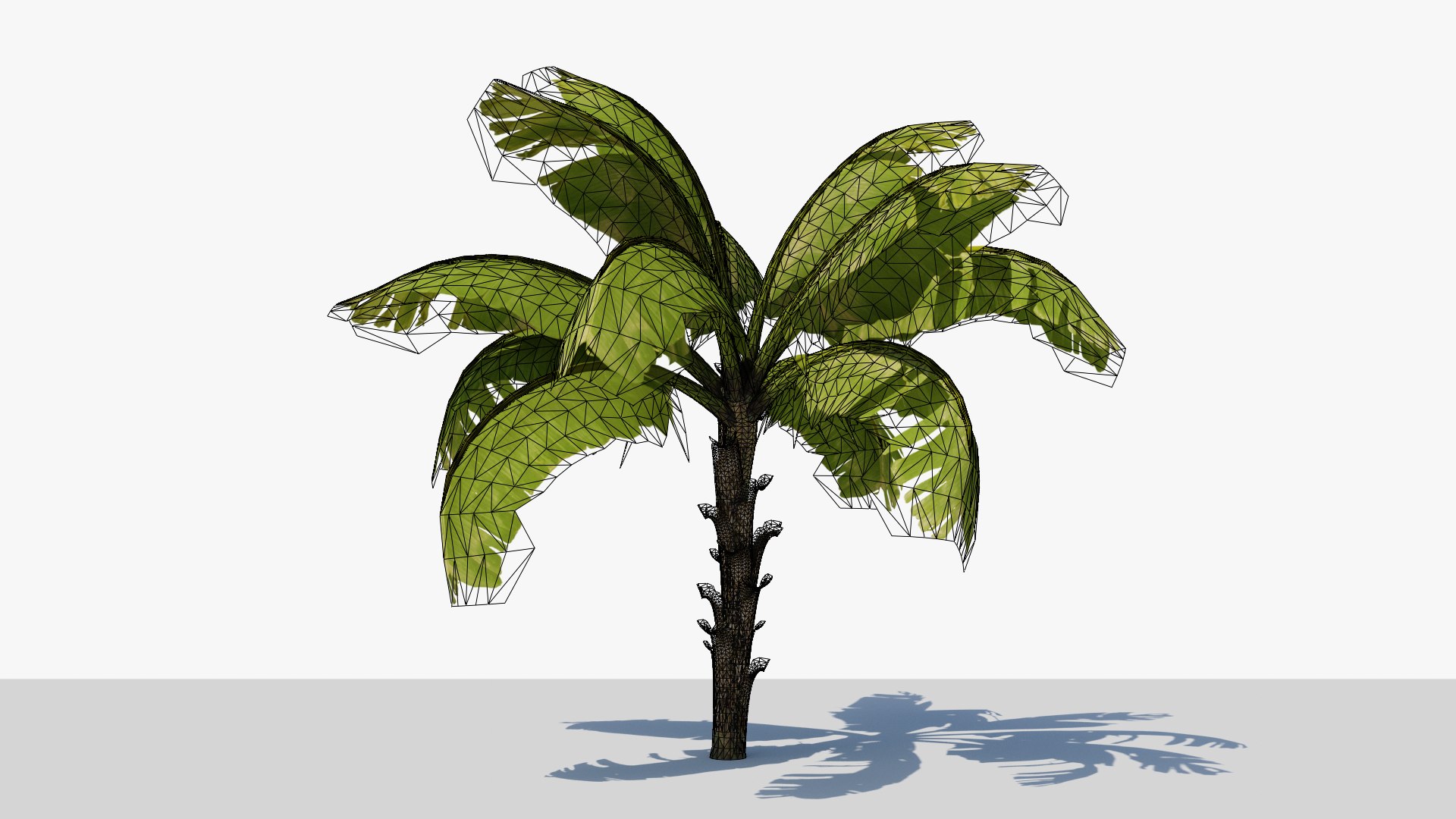 3D Banana Plant Tree Model - TurboSquid 2033185