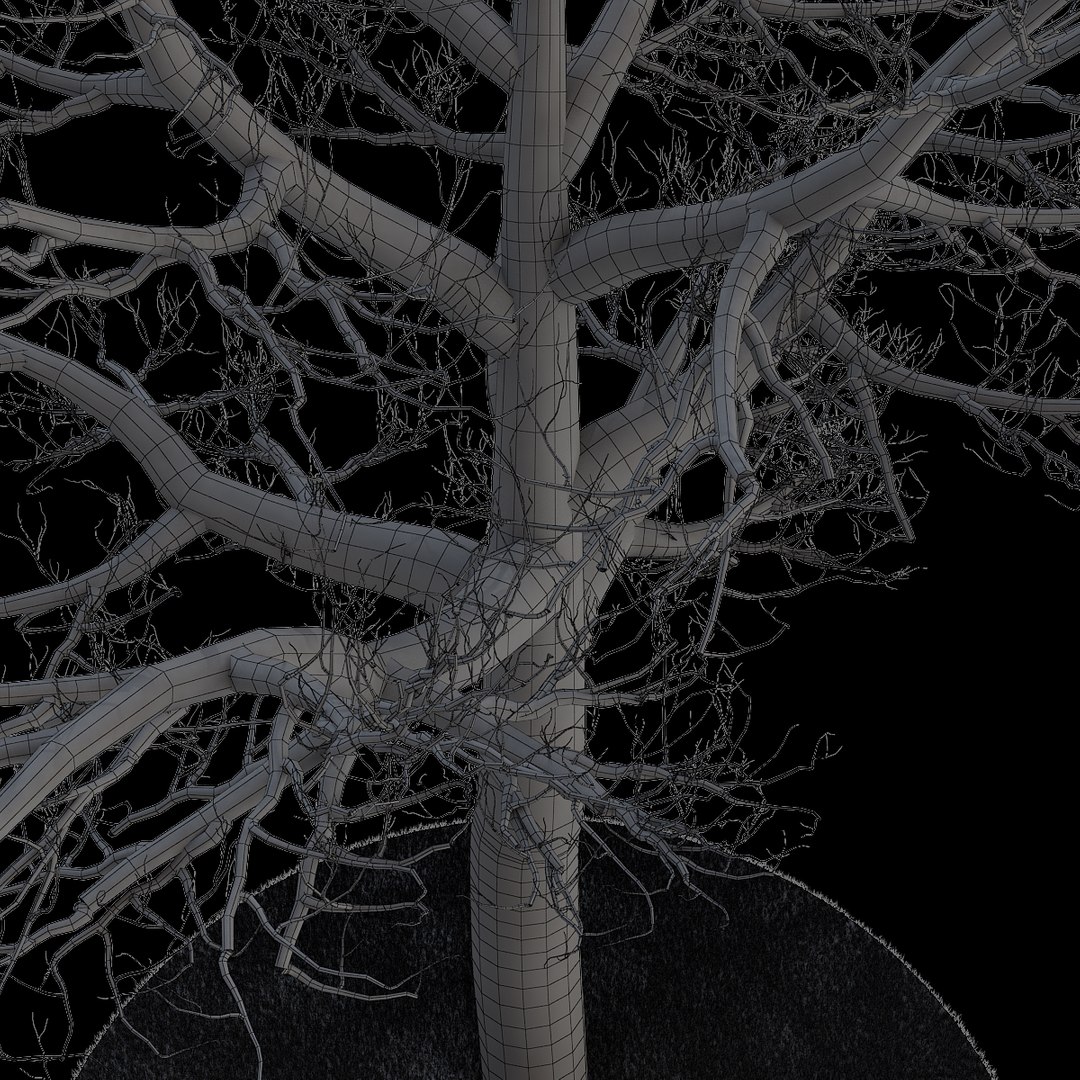 3d Model Tree 8 Branches