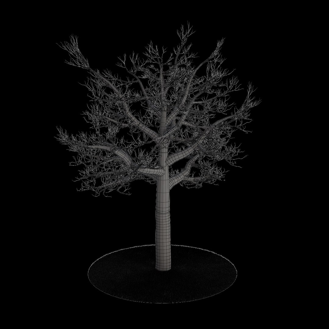 3d Model Tree 8 Branches