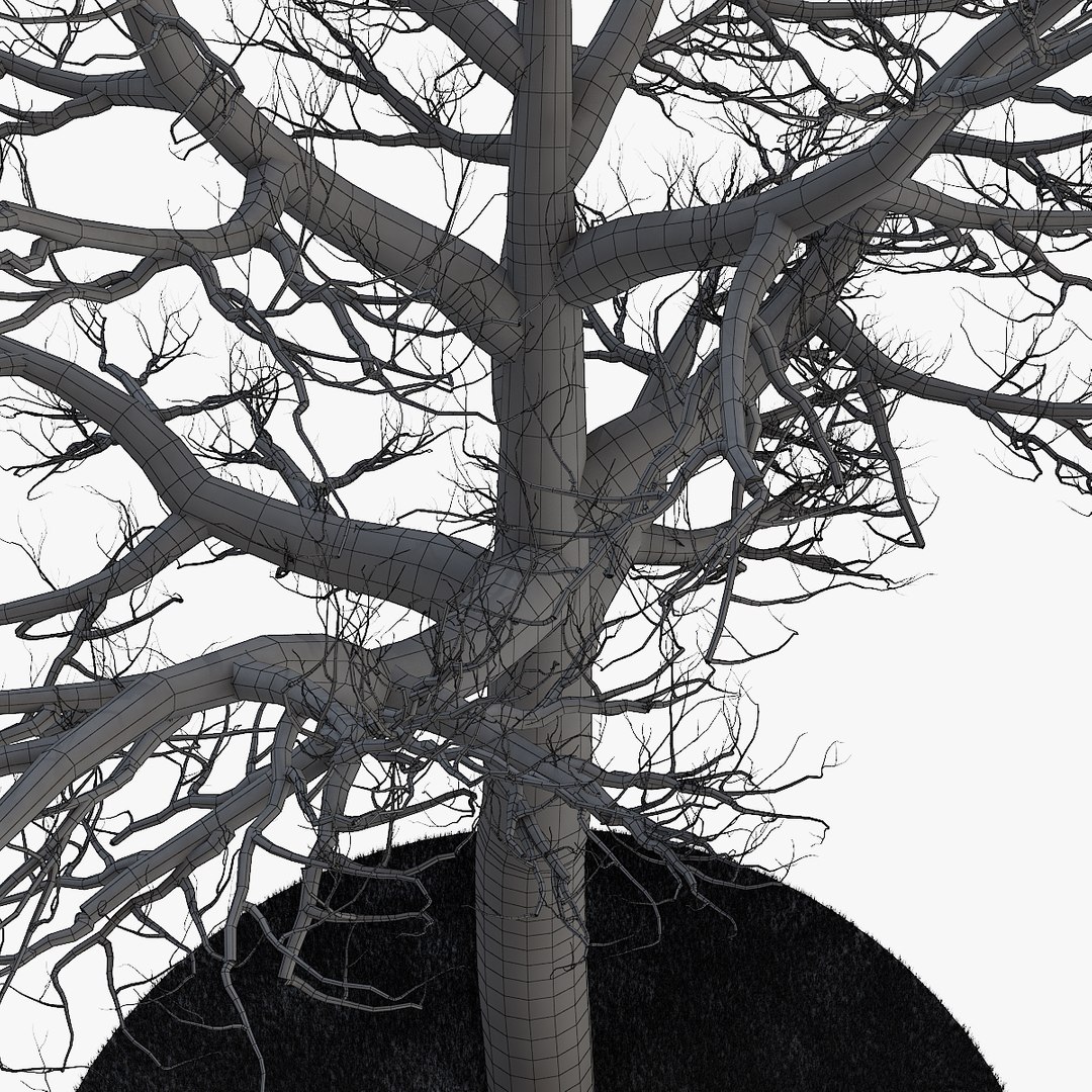 3d Model Tree 8 Branches