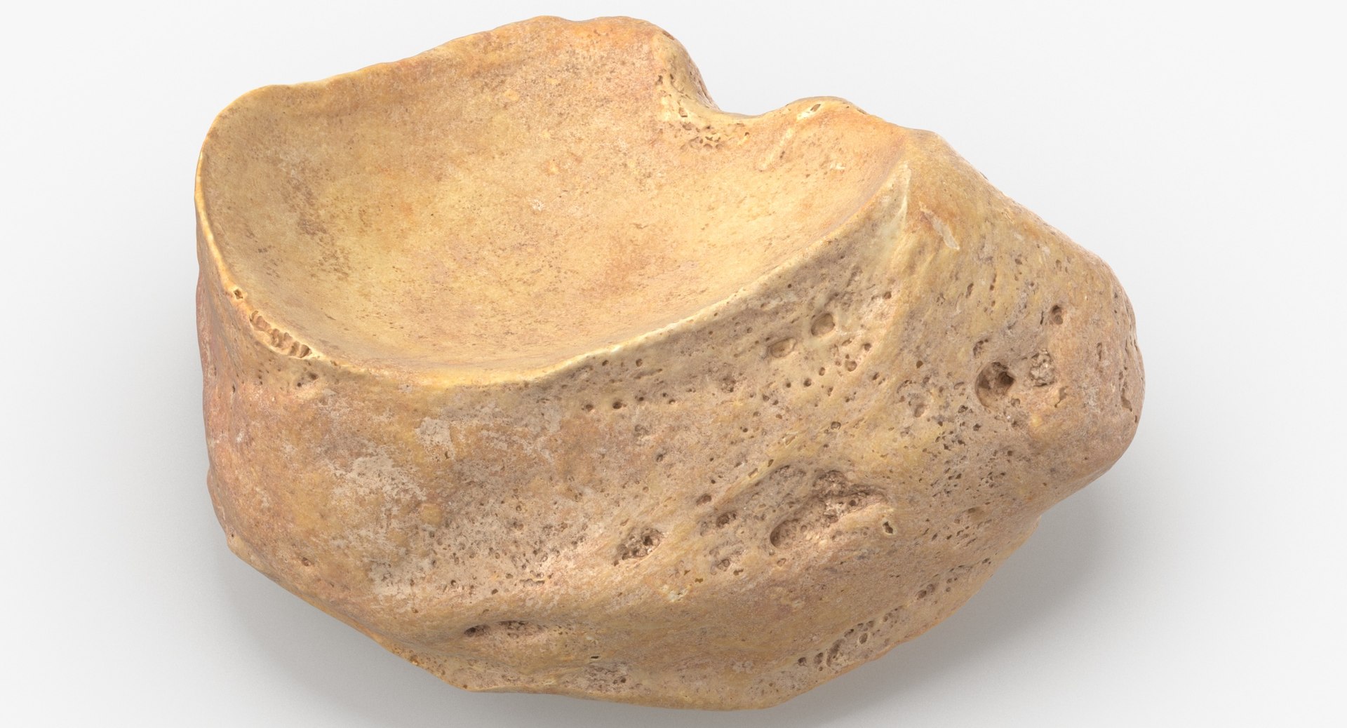 3D Navicular Bone - TurboSquid 1501748