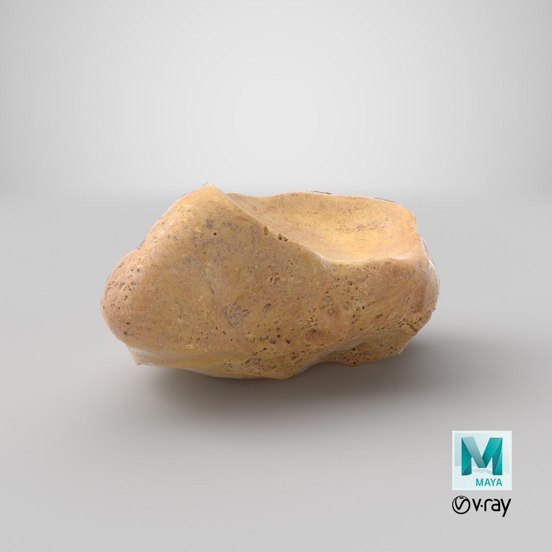 3D navicular bone - TurboSquid 1501748