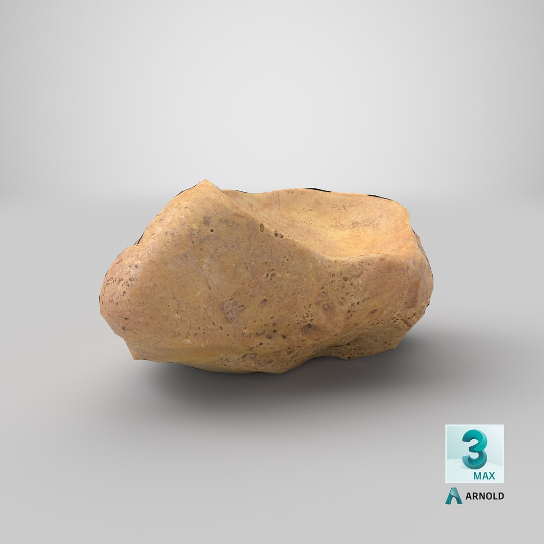 3D navicular bone - TurboSquid 1501748