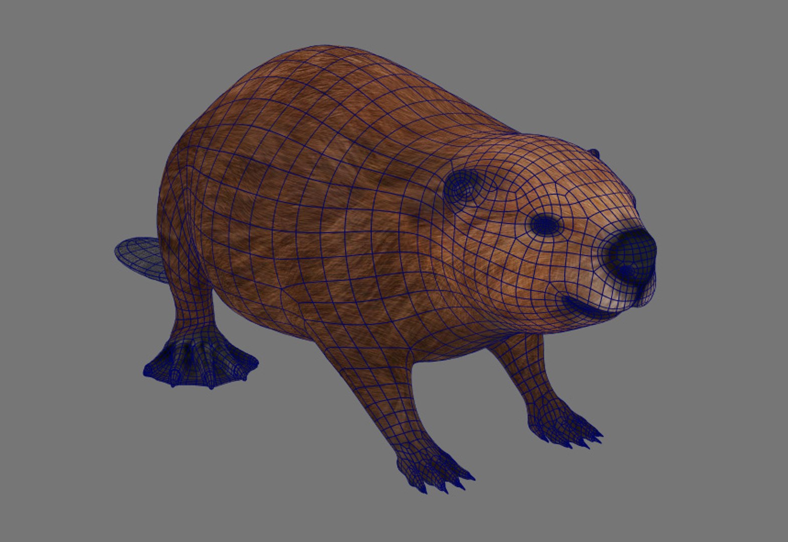 Obj Realistic Beaver