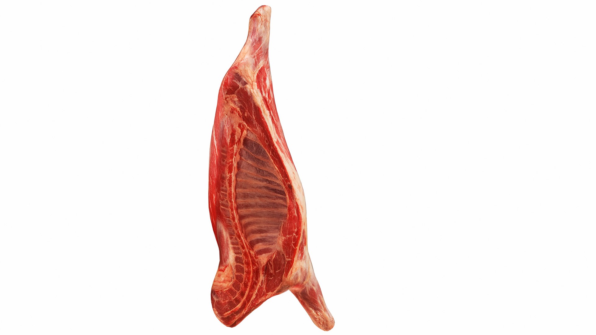 Carcass Meat 3D Model - TurboSquid 2387701