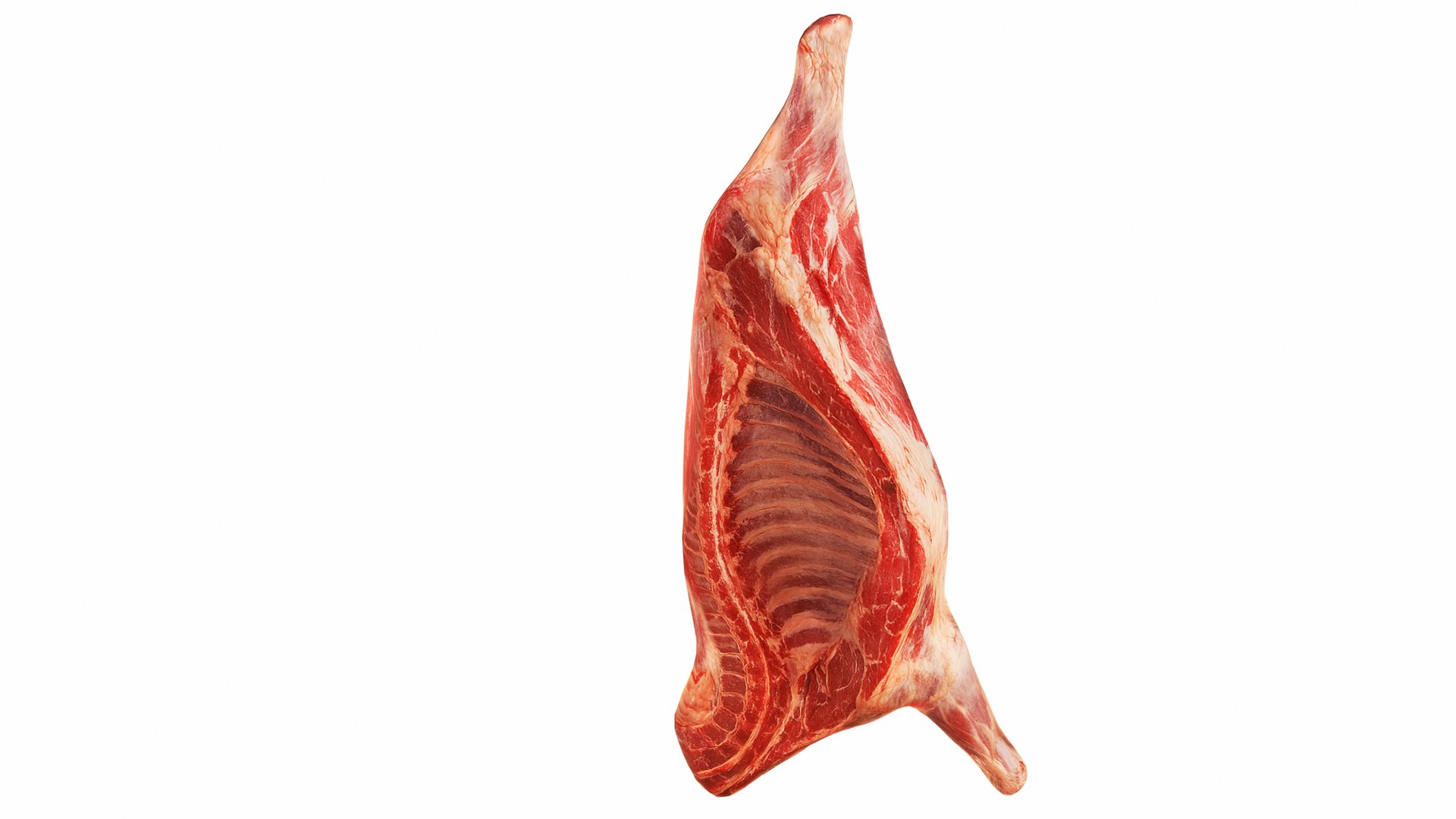 Carcass Meat 3D Model - TurboSquid 2387701