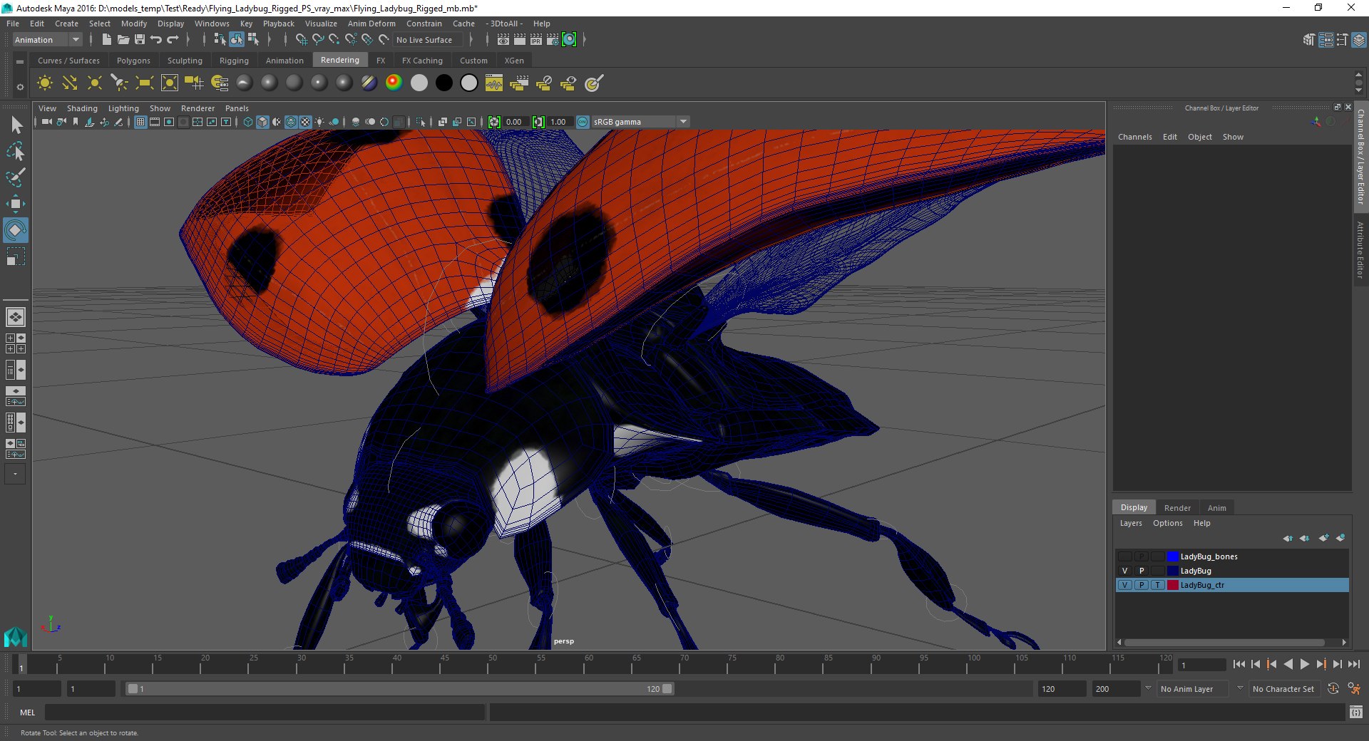 3D model flying ladybug rigged - TurboSquid 1494722