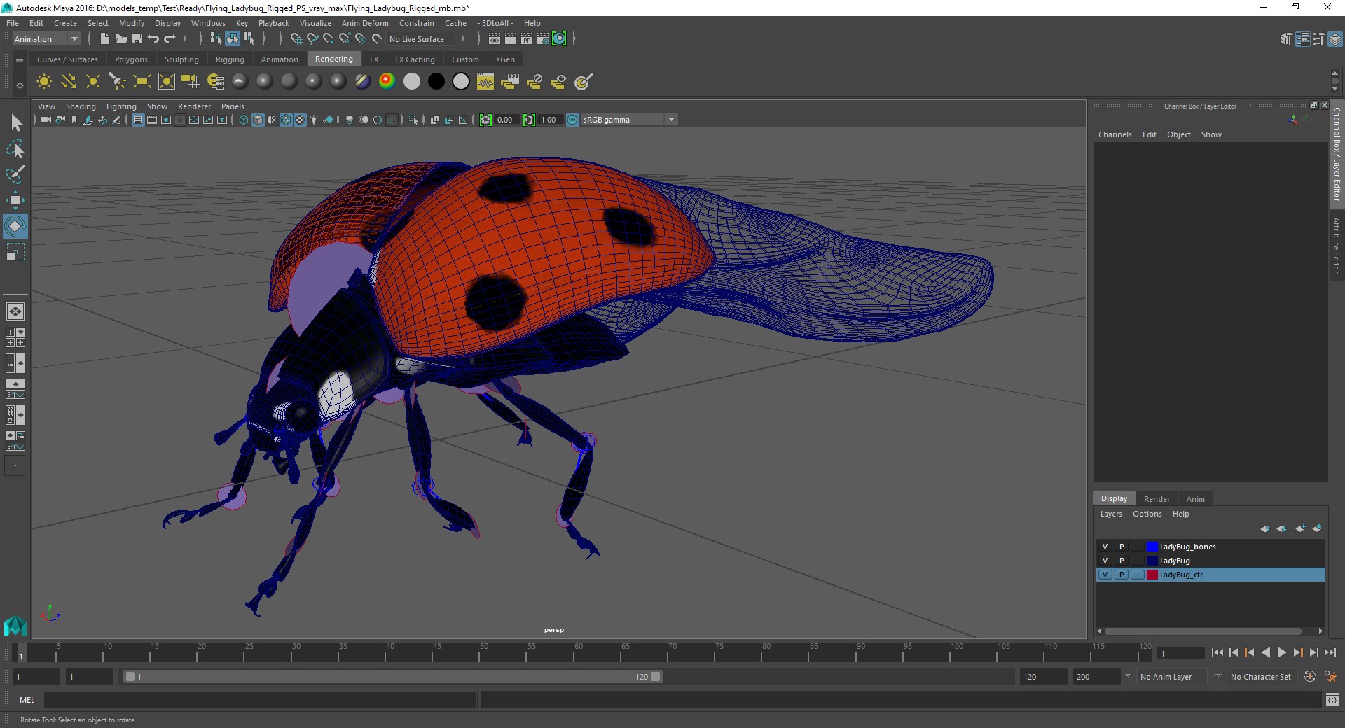 3D model flying ladybug rigged - TurboSquid 1494722