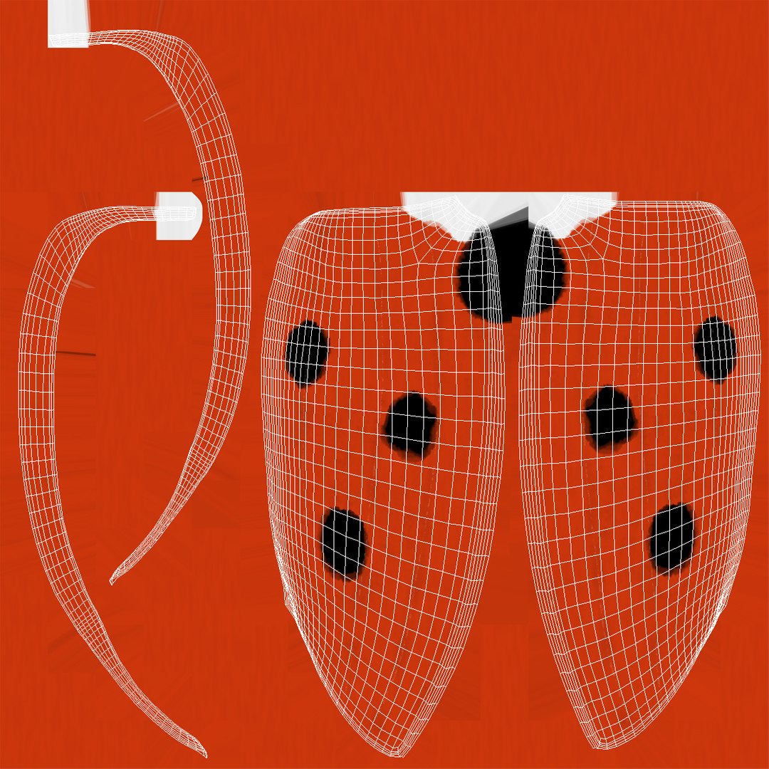 3D model flying ladybug rigged - TurboSquid 1494722