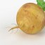 3d Model Realistic Turnip Real