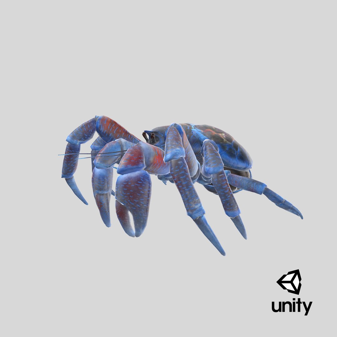Coconut crab 3D - TurboSquid 1156693