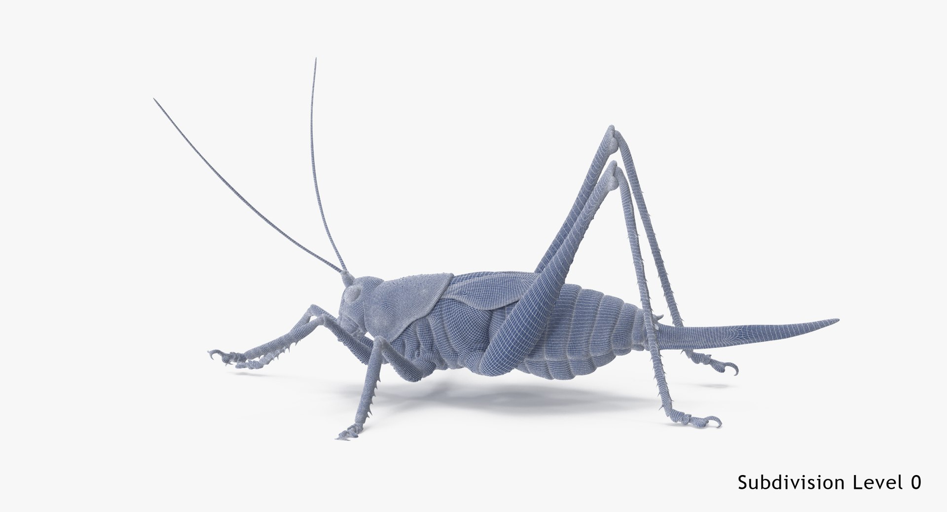 3d Rigged Grasshopper Model