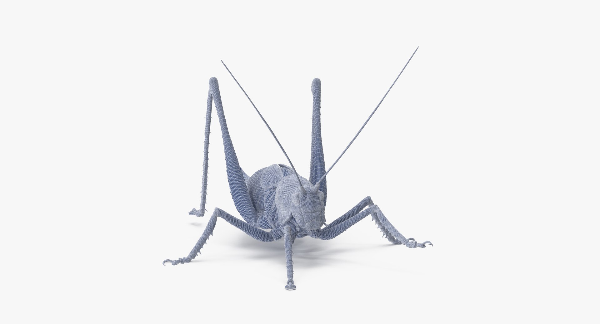 3d Rigged Grasshopper Model