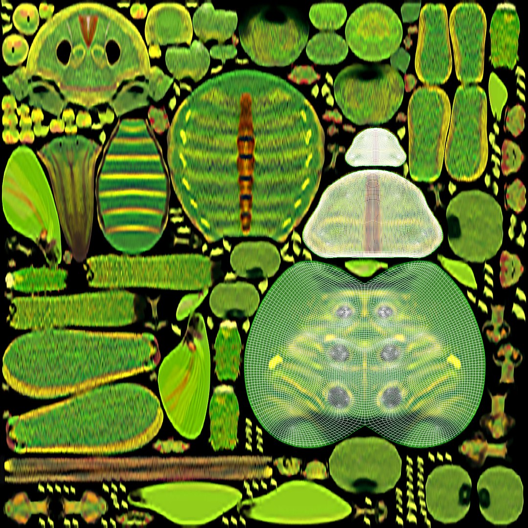 3d Rigged Grasshopper Model