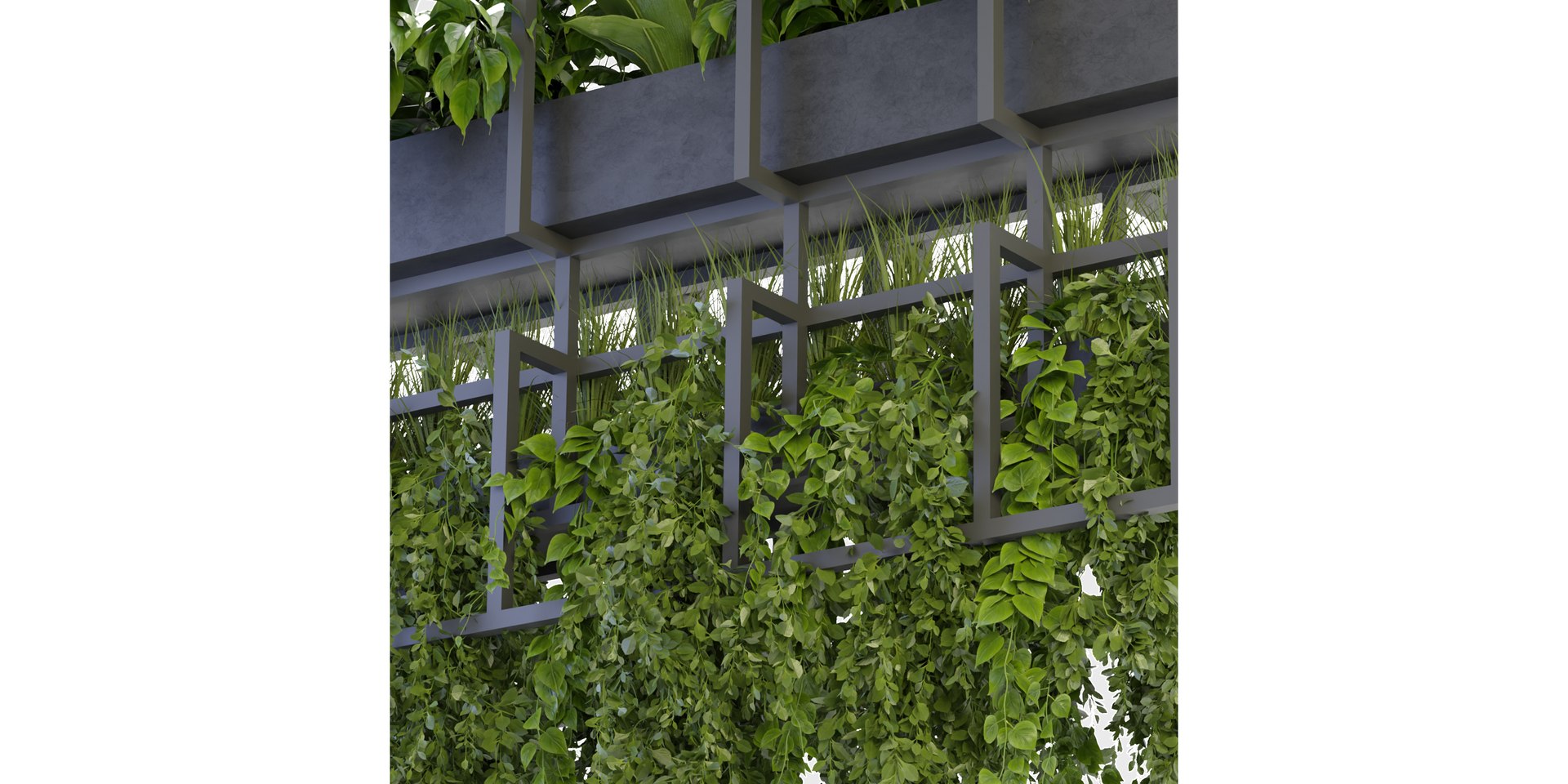 3D Collection Plant Vol 311 - Blender Model - TurboSquid 2092179