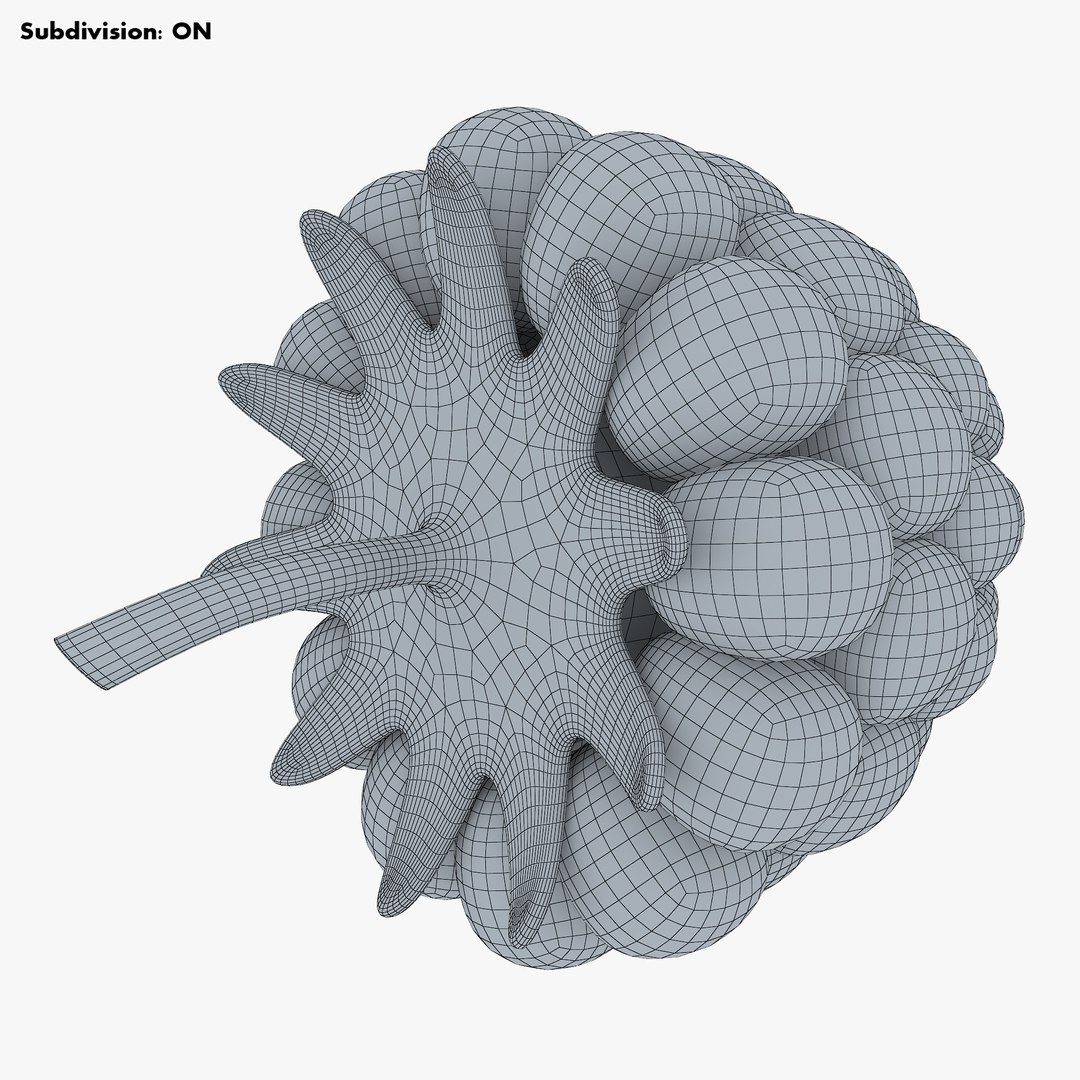 3D Cartoon Raspberry V 2 - TurboSquid 1617437